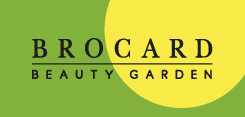 BROCARD